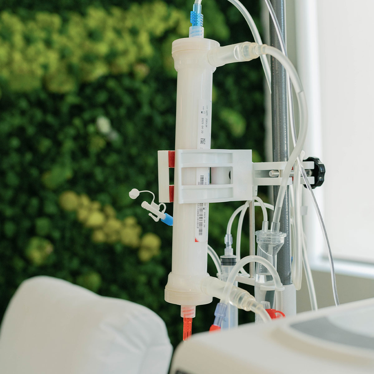 Medical Devices for Regenerative Medicine - EBO2, PurLight & Kits